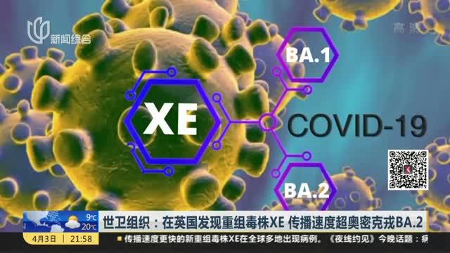 世卫组织:在英国发现重组毒株XE 传播速度超奥密克戎BA 2
