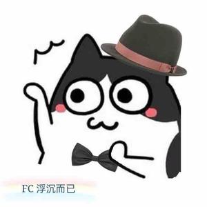 FC浮沉而已 