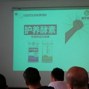 猪圈里的猪大大 