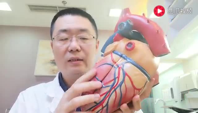 ...冠脉CTA和冠脉造影的普及,心肌桥越来越多的被发现。那么什么是...
