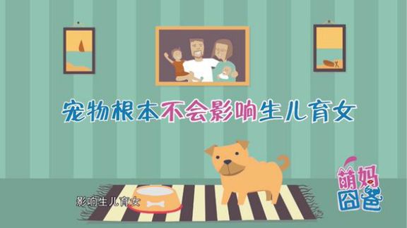 孕妇无需远离宠物,只要做好安全防护!