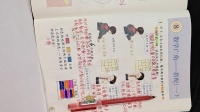 二上数学第8单元数学广角搭配详细讲解