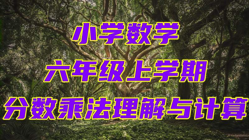 小学数学六年级上学期分数乘法的理解与计算