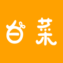 白菜解说玩游戏 