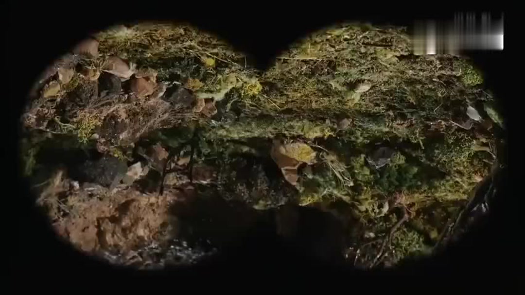 奥斯卡最佳动画短片提名《头朝下的生活》,不管我们曾经多么.