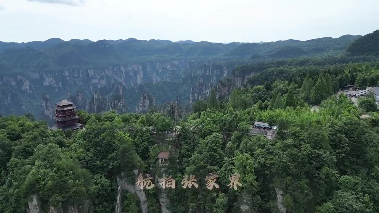 张家界的山真的太太太好看了,都是一根一根的,像石头森林~来看看我的...