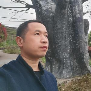 直爽松鼠eta 