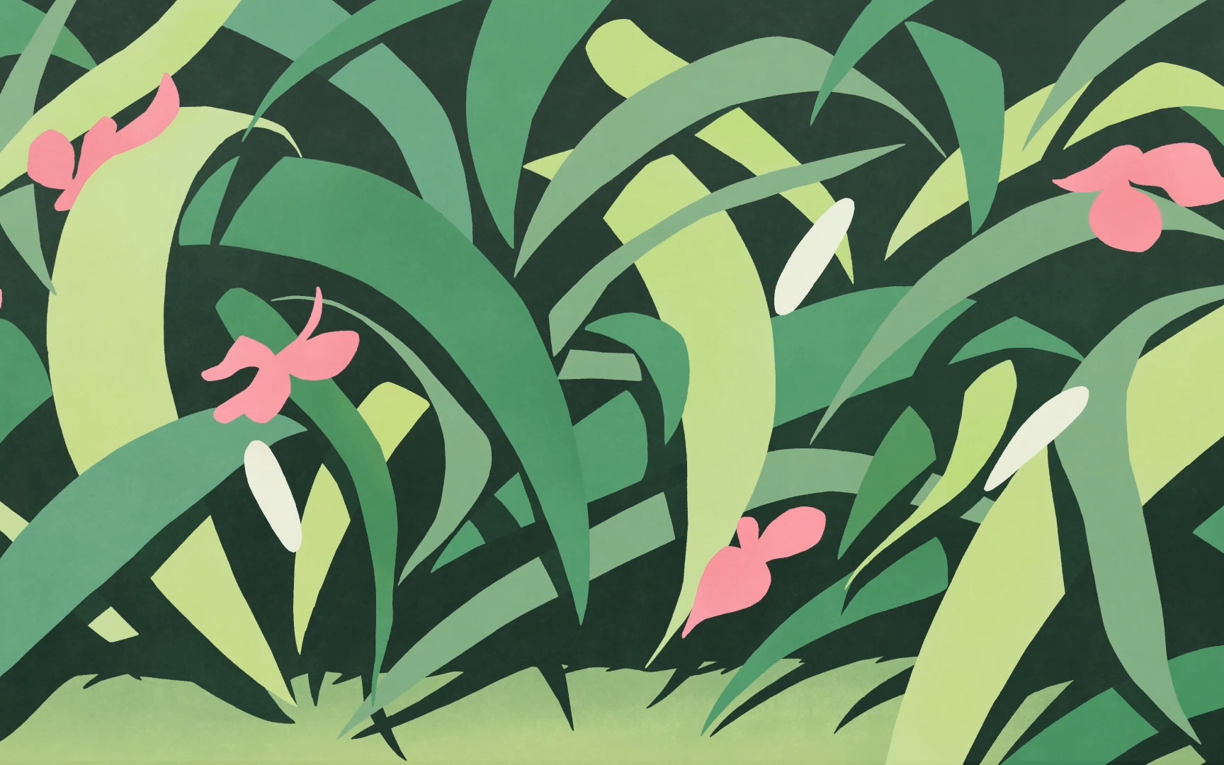 食鱼丸|皮宝手绘动画短片|相信植物有魔法