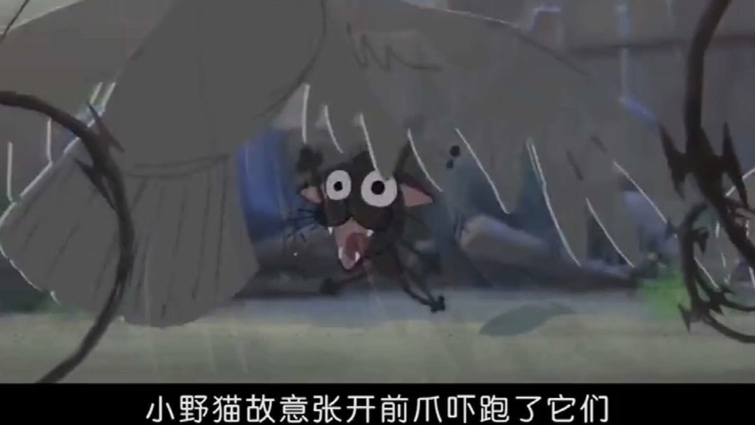 暖心动画《小野猫与斗牛犬》:愿一切都能被温柔以待