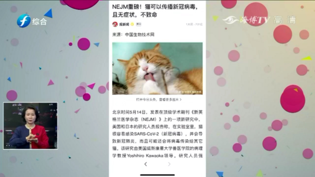 实锤!新冠病毒会在猫群中相互感染,小动物最近也要少出门