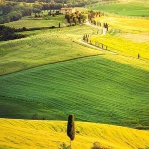 金卡还无法几个 