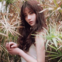 萌小茶 