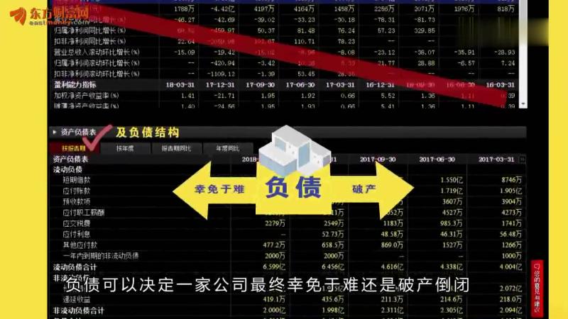 彼得林奇看现金流与负债二