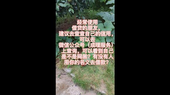 自己的身份信息被他人拿去贷款,13万啊ߘ