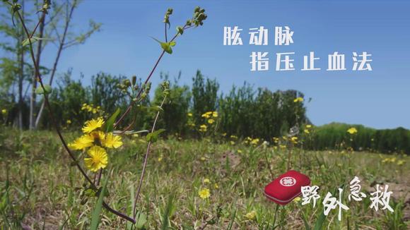 野外急救之肱动脉止血法,在野外受伤出血又没有急救包该怎么办?