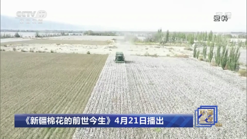 [中国三农报道]《新疆棉花的前世今生》4月21日播出