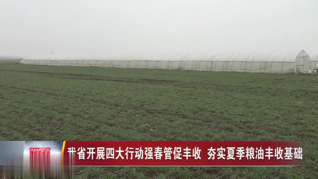 陕西开展四大行动强春管促丰收夯实夏季粮油丰收基础