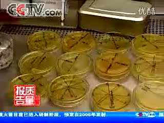 CCTV报道抗生素滥用