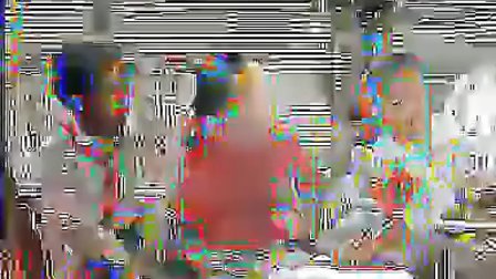 贾老师教作文1——全国小学语文著名特级教师贾志敏课堂集锦