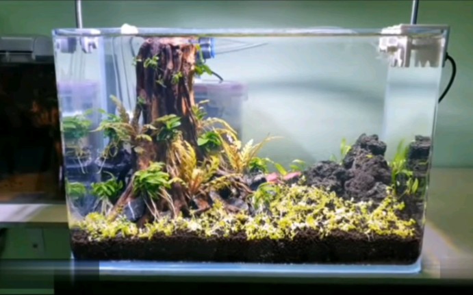 手工制作简易过滤桶,草缸造景!