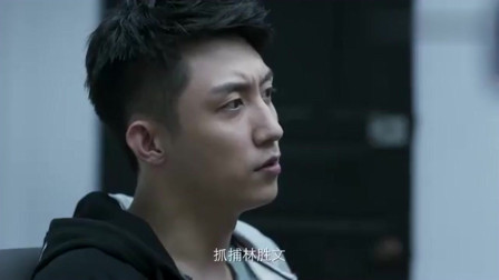 破冰行动:蔡永强电话打不通,李飞雨夜抓捕