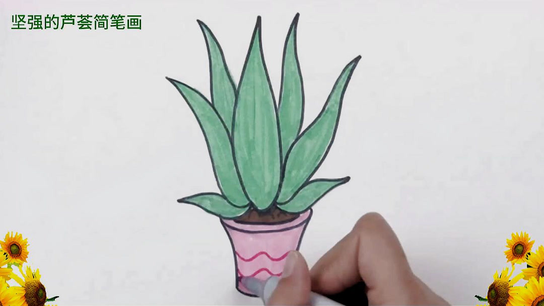 坚强的芦荟简笔画