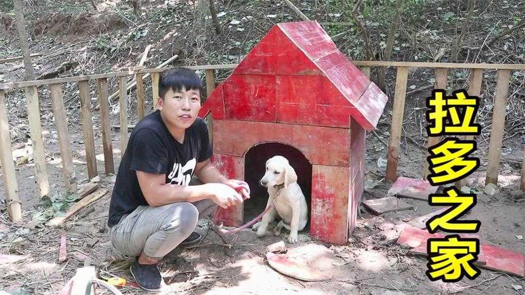 户外建木屋第23天,狗窝终于制作完成,这样的房子拉多会喜欢吗?