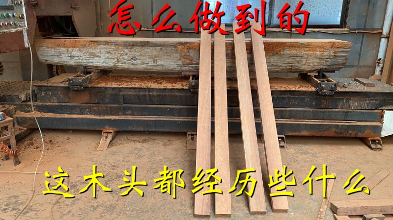 十几年的缅甸花梨木,树心空到无法想象!到底怎么处理?阴干处理