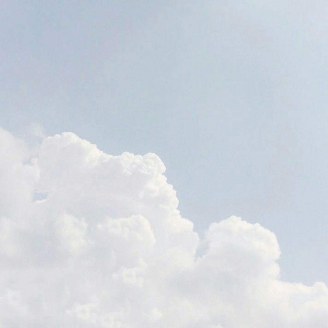 一朵气质花三一 