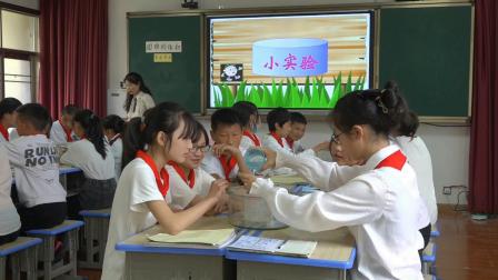 课堂实录《圆锥的体积》执教:赶场镇小学段芬芬