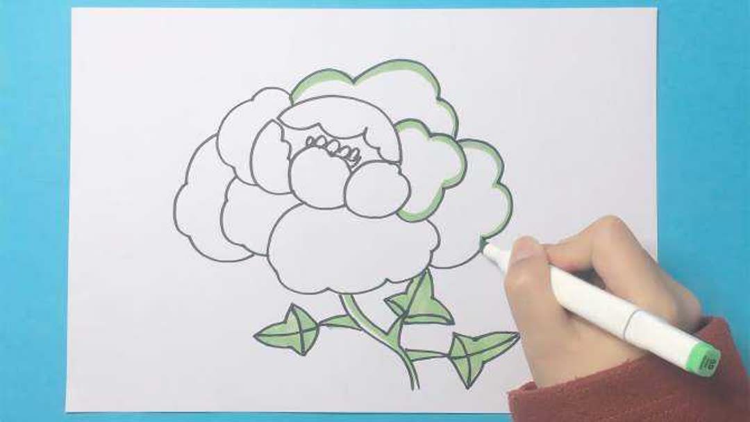 博卡简笔画:植物有不同的美,我们从画中来体会植物的美吧