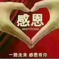 广州彭哥vlog 
