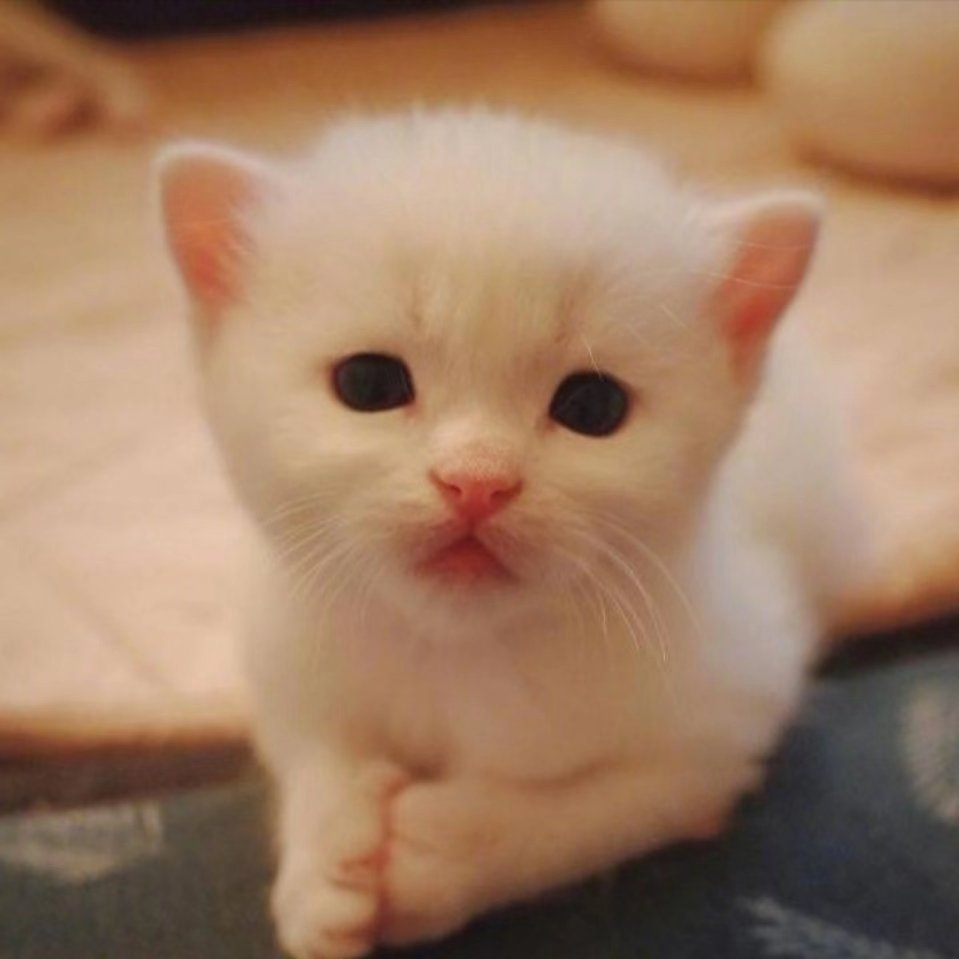 小小人物小心心 