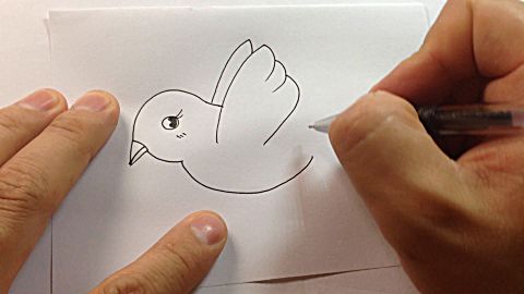 儿童简笔画系列.飞翔的小鸟画法