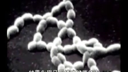 优质生活,消费创造财富价值