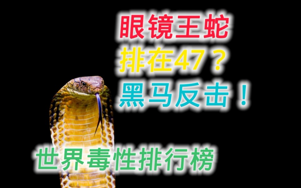 ...中陆太攀蛇再度逆袭!超越信德环蛇 ,银环蛇位居第7,第一名强无敌,世...
