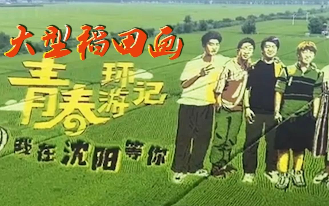 杨美华 深情演唱《对你的承诺永远不会变》大型稻田画多样彩绘非常...