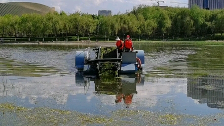 水体富营养化,清除水草进行中#溶解氧#总氮#总磷