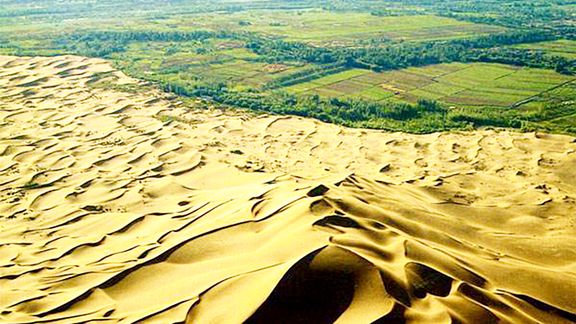 中国稳居第一!巴西也稳居第一!全球新增/消失森林面积国家排行