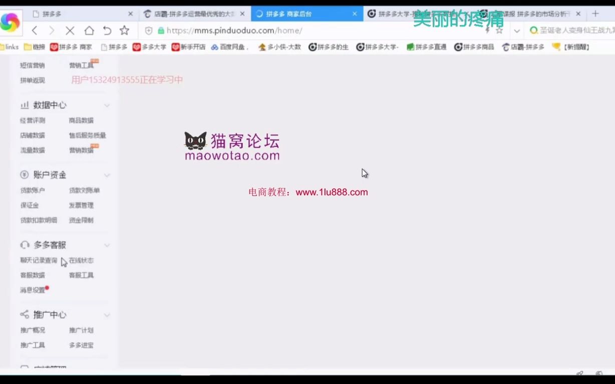 1.拼多多课程-市场分析