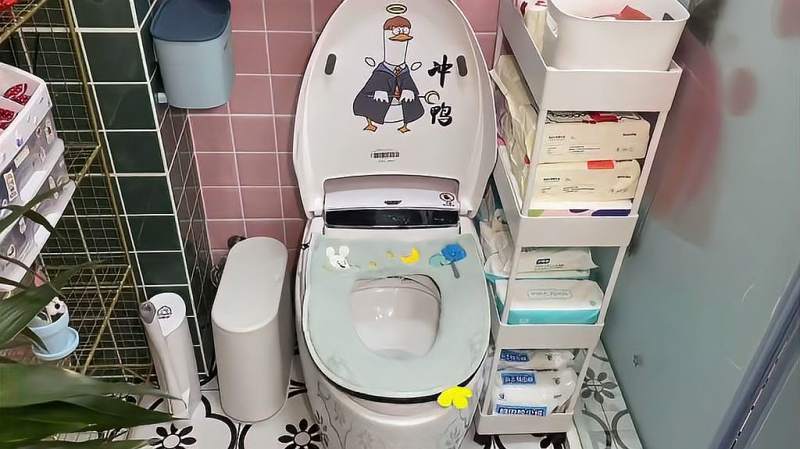 有了自带拉链的马桶垫,正面毛绒背面防水,冬天坐马桶再不怕冷了