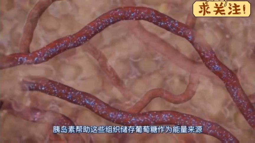 糖尿病是引发脑梗的危险因素,那今天我们来分享一下胰岛素的知识