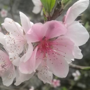 凶猛的神力人同学 