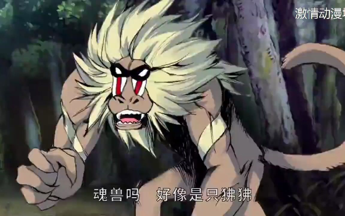 神界一天 凡界一年 1