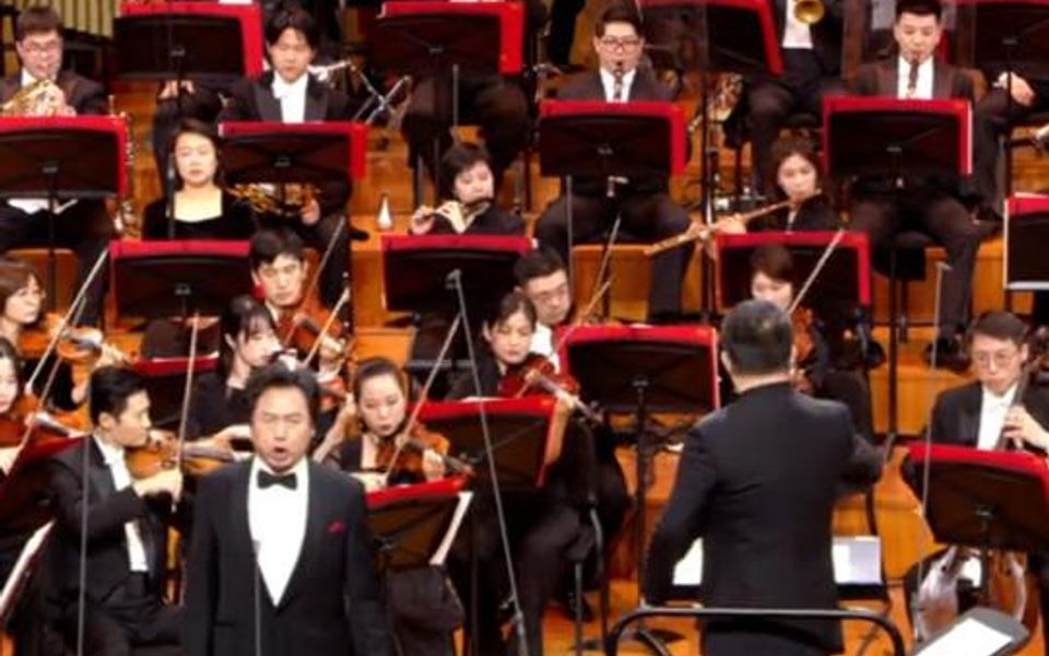 ...内心的狂欢!男中音歌唱家袁晨野唱响歌剧《卡门》中的经典唱段。