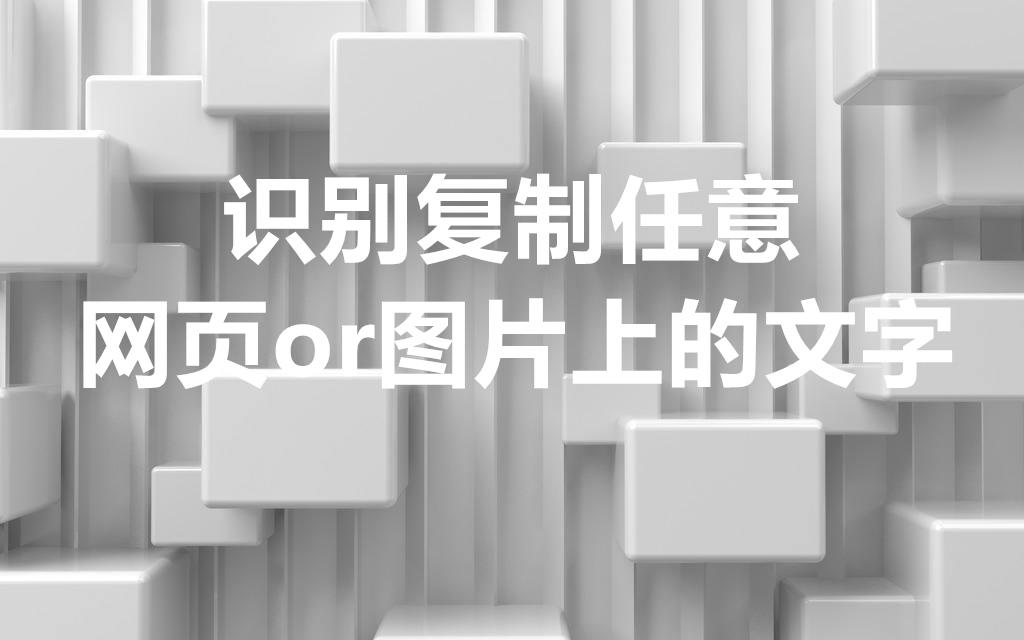 网页和图片上的文字没有我复制不了的!