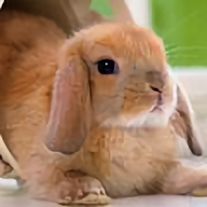 爽姐爱生活 