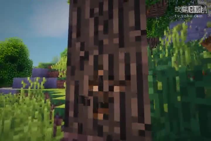 我的世界真实版生存 仅此一集