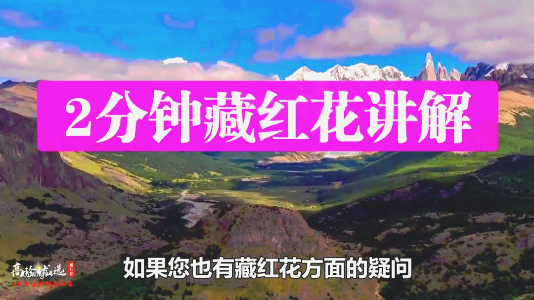 藏红花的功效,藏红花泡水喝的功效,藏红花泡水喝的功效是什么
