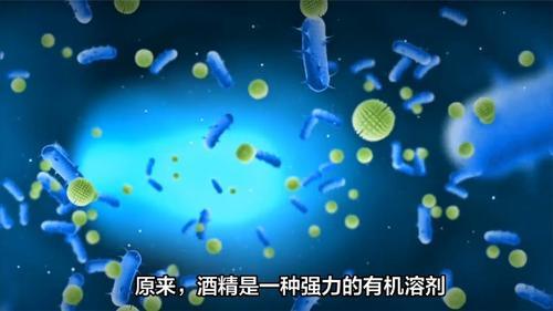 酒精消毒,75%的酒精居然比100%的酒精更能杀菌!